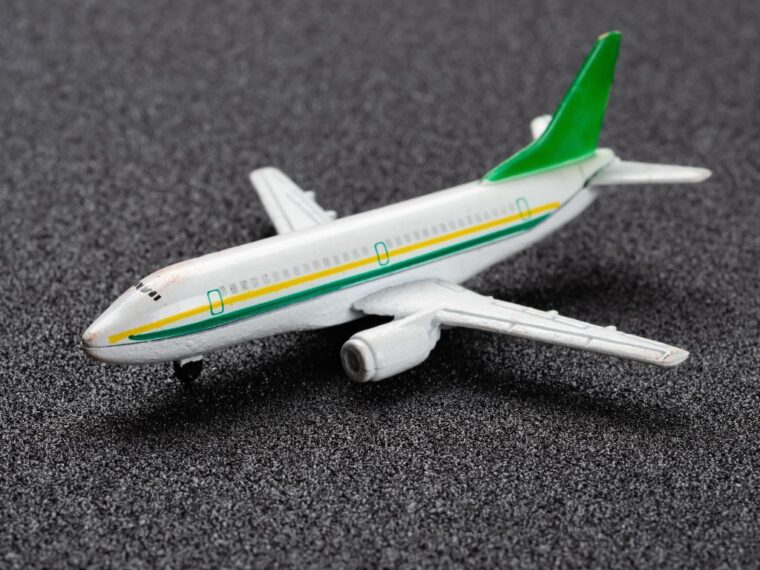 Unusual Unions: 15 People Who Said ‘I Do’ to the Unexpected ...