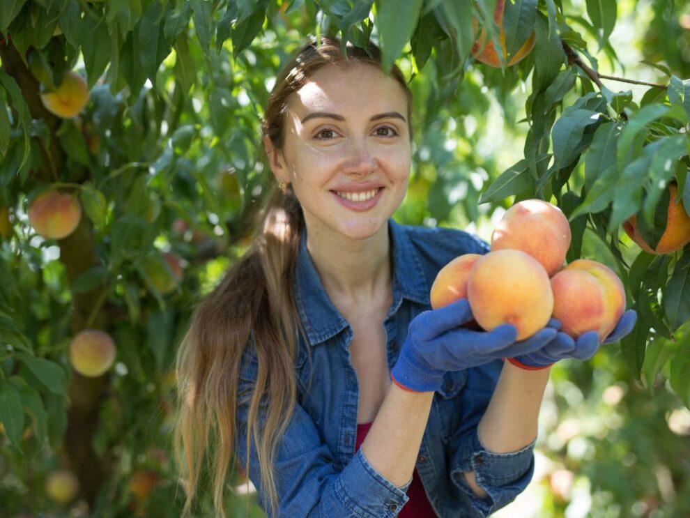 15 Fast-Growing Trees That Bear Fruit in No Time – growmylifestyle.com