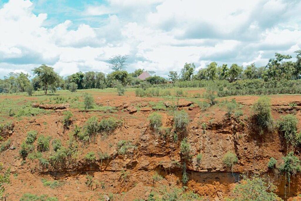 Warning Signs: 16 Critical Environmental Problems in 2025 ...