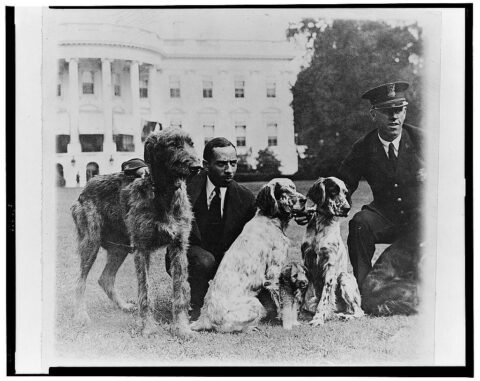 First Pets: 27 Presidential Animals Who Left Their Mark on History ...