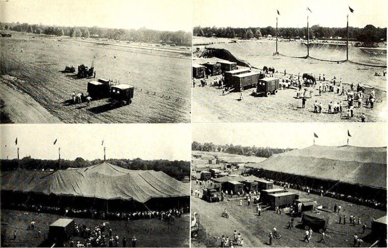 25 Rare Photos of Circus Life and Unusual Acts from the Golden Age of ...