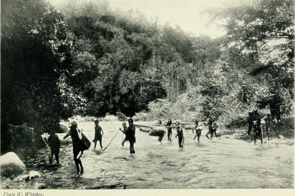 15 Uncontacted Tribes Still Living Beyond the Edges of the Modern World ...