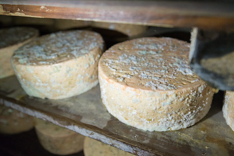 Creamy and Costly: 15 of the World’s Most Expensive Cheeses ...