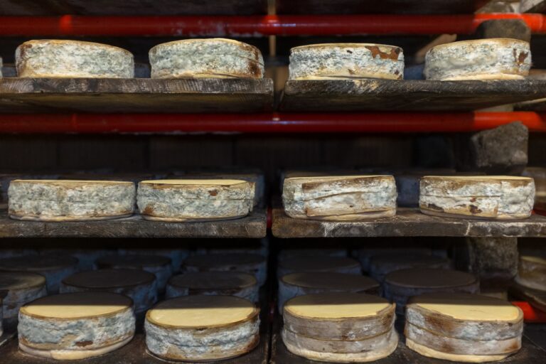 Creamy and Costly: 15 of the World’s Most Expensive Cheeses ...