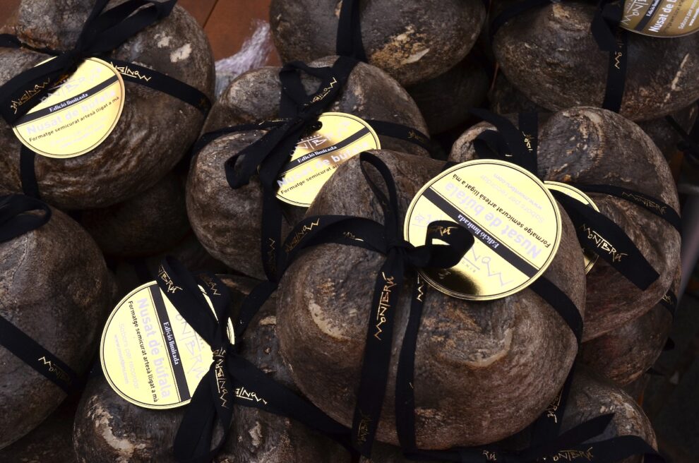 Creamy and Costly: 15 of the World’s Most Expensive Cheeses ...